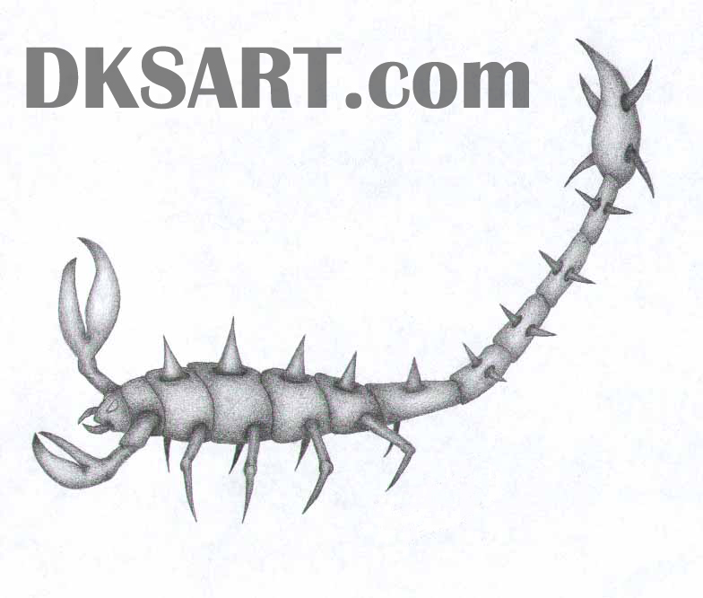 Artistic Pencil Drawing Of A Scorpion