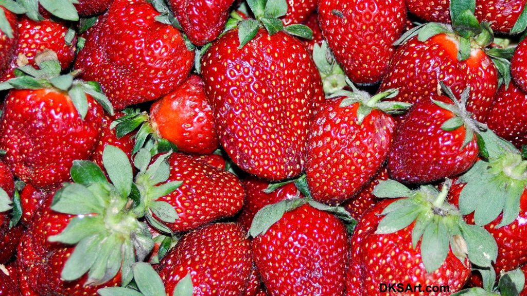 Fresh Strawberries | DKS Art