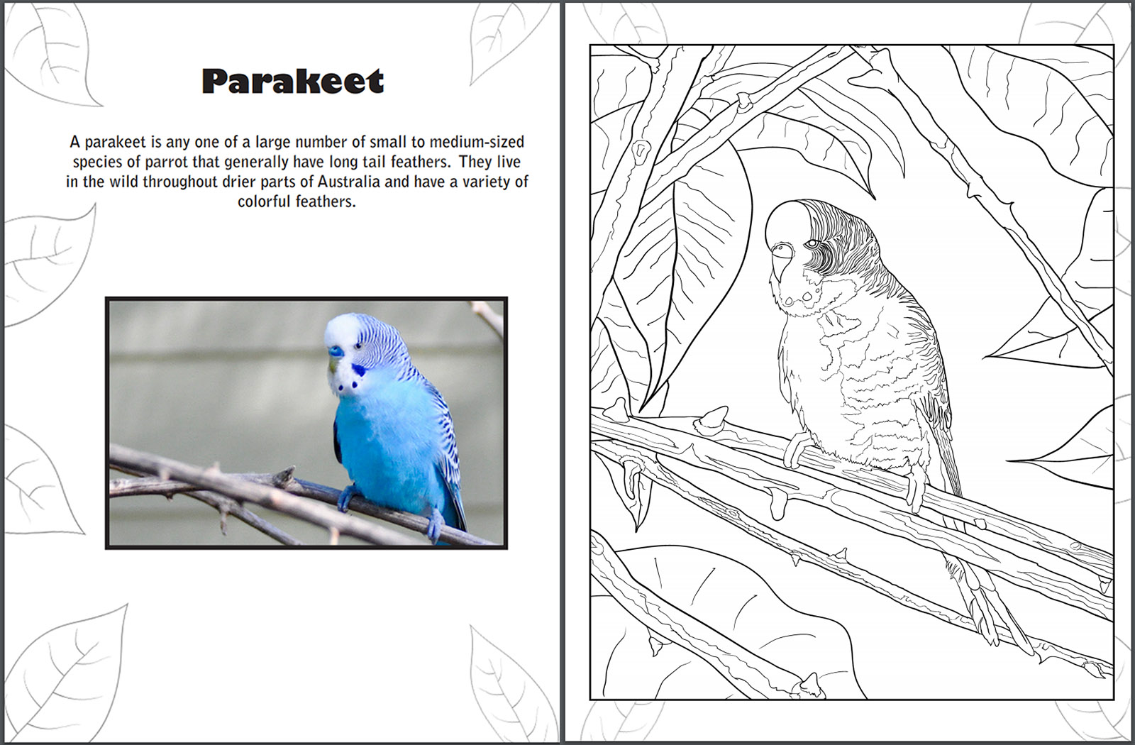 A Day With Animals At The Zoo Coloring Book