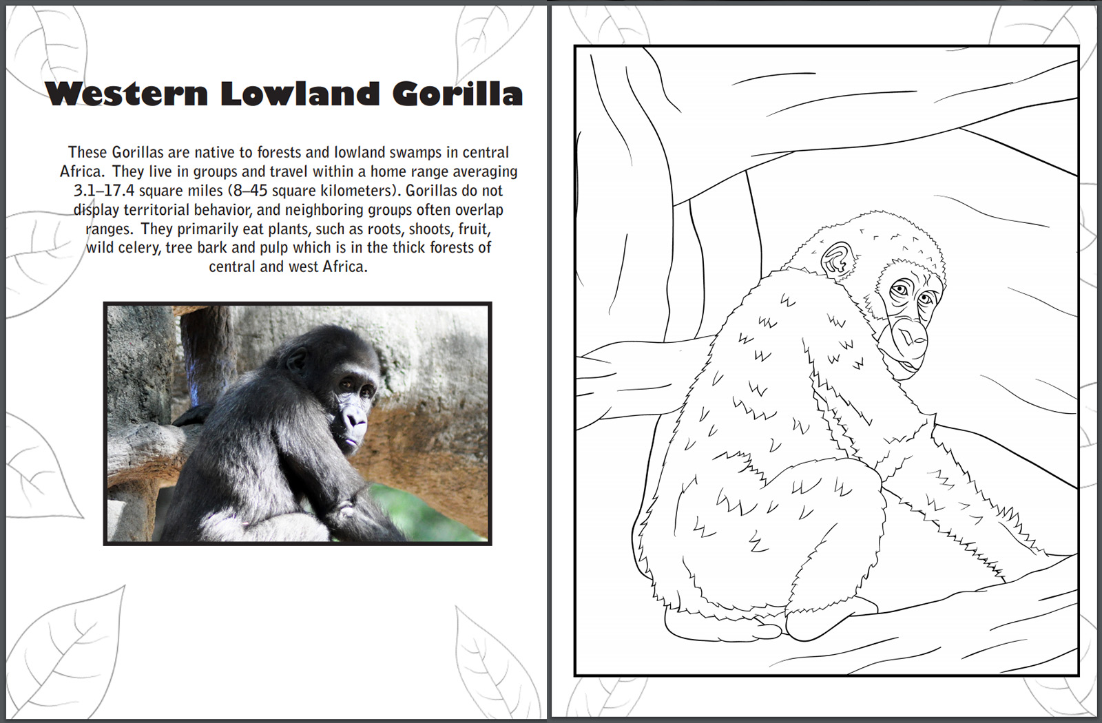 A Day With Animals At The Zoo Coloring Book