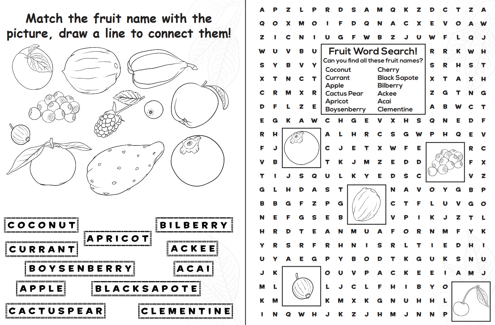 Learning To Spell All The Fruit Names A to C Educational